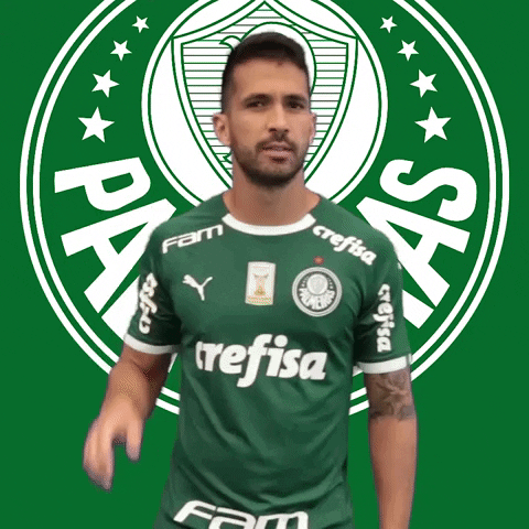 SE Palmeiras GIF - Find & Share on GIPHY