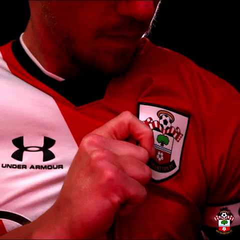 Celebrate Premier League GIF by Southampton FC - Find & Share on GIPHY