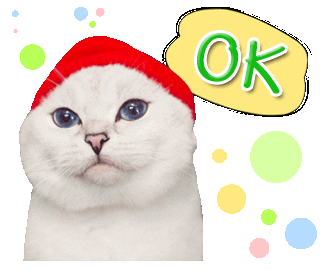 Cat Ok Sticker for iOS & Android | GIPHY