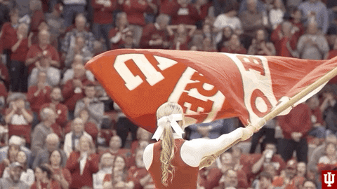 Fans Flag GIF by Indiana Hoosiers - Find & Share on GIPHY