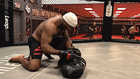 Ufc Albuquerque GIF by Jackson Wink MMA Academy - Find & Share on GIPHY