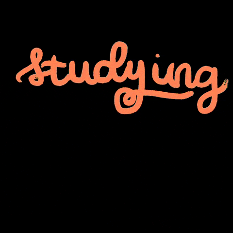 Studying GIF - Find & Share on GIPHY