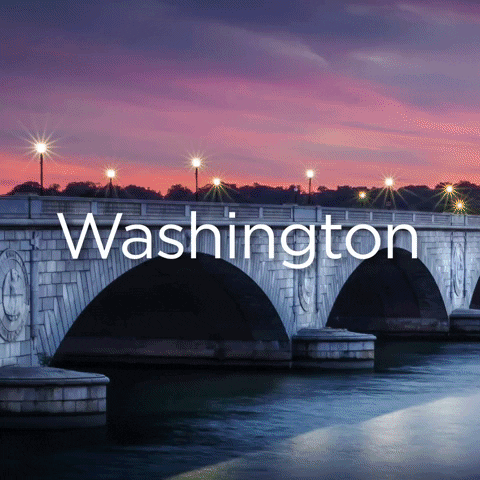 United States Holiday GIF by Virgin Atlantic - Find & Share on GIPHY
