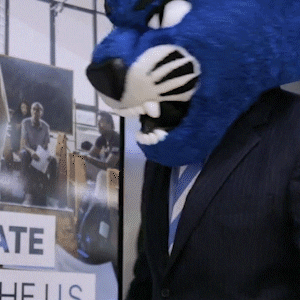 Panthers Pounce GIF by Georgia State University - Find & Share on GIPHY