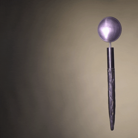 Schrodinger Studio GIF - Find & Share on GIPHY