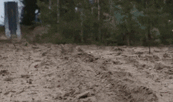 Way Dirt GIF - Find & Share on GIPHY