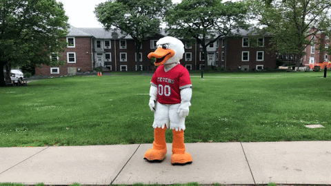 Stevens Institute of Technology GIF - Find & Share on GIPHY