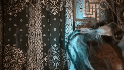 Pirate's Parley GIF - Find & Share on GIPHY