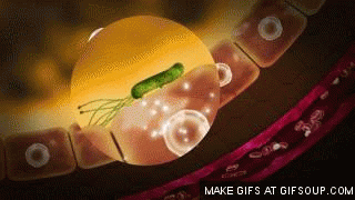 Bacteria GIF - Find & Share on GIPHY