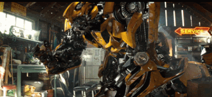 Bumblebee GIF - Find & Share on GIPHY
