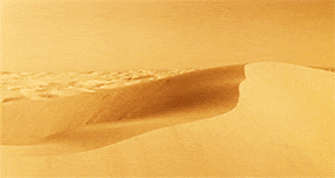 DUNE: PART TWO Takes In More Than Double The First Movie Did From ...