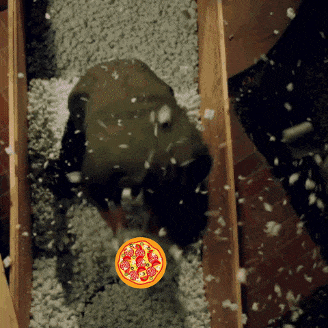 Excited GIF by AwesomenessTV - Find & Share on GIPHY