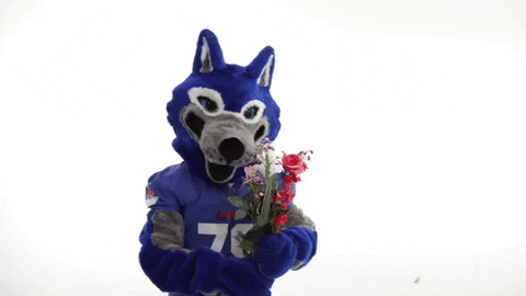 Spring Season GIF by University of West Georgia - Find & Share on GIPHY