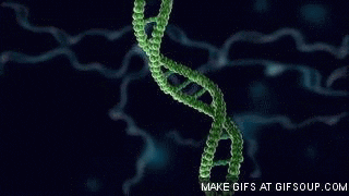 Dna Replication Process 3d Animation On Make A Gif