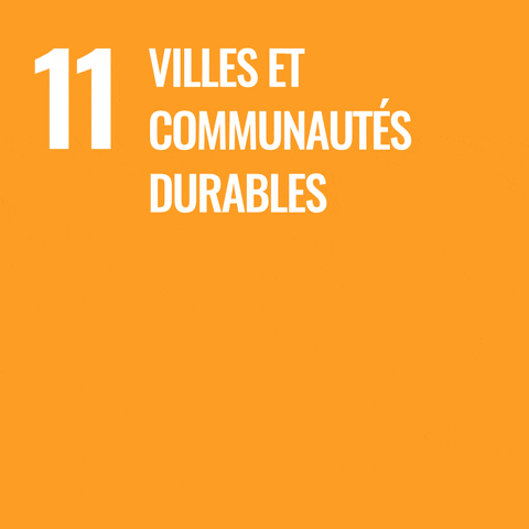 Yorku Sdg11 GIF by York University - Find & Share on GIPHY