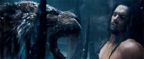 Saber Toothed Tiger S Find And Share On Giphy