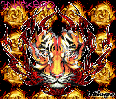 Tribal GIF - Find & Share on GIPHY