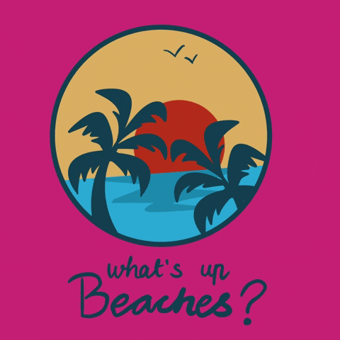 Beach Ocean GIF - Find & Share on GIPHY