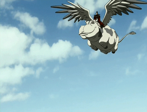 Fly GIF - Find & Share on GIPHY