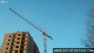 Crane GIF - Find & Share on GIPHY