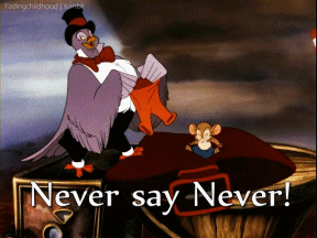 Never GIF - Find & Share on GIPHY