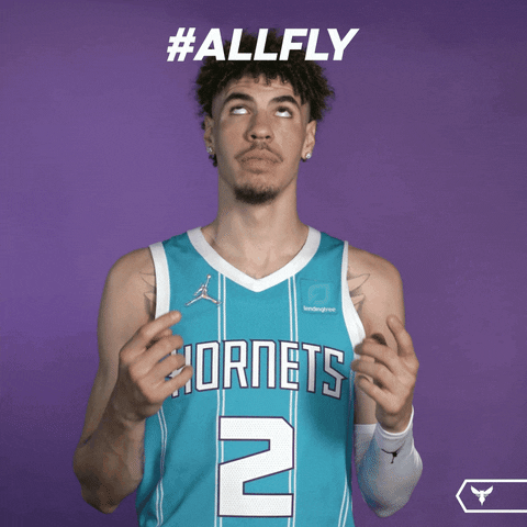 Lamelo Ball Basketball GIF by Charlotte Hornets - Find & Share on GIPHY