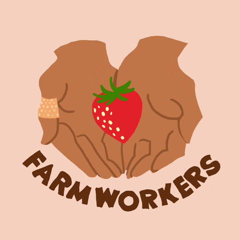 Farm Workers Food GIF by Denyse® - Find & Share on GIPHY