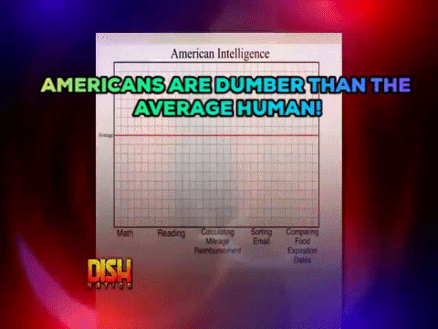 The Dumbest Generation | Desiree's Blog