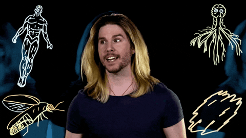 Kyle Hill Hbo GIF by Because Science - Find & Share on GIPHY