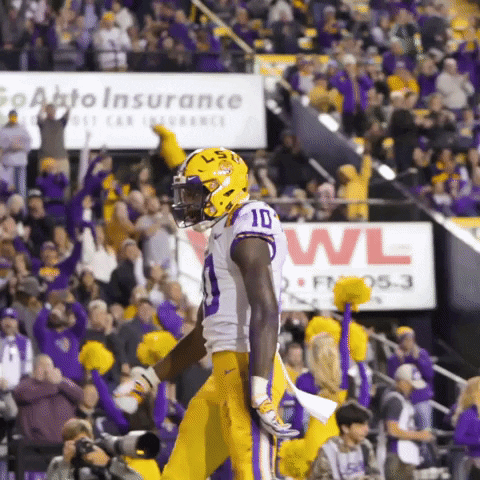 College Sports Sport GIF by LSU Tigers - Find & Share on GIPHY