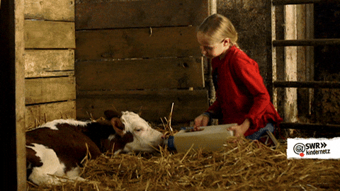 Tiere Bis Unters Dach Drinking GIF by SWR Kindernetz - Find & Share on ...