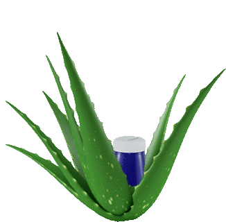 Aloe Vera Sticker by Exialoe - Health & Beauty for iOS & Android | GIPHY