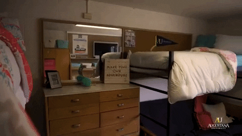 GIF by Augustana University - Find & Share on GIPHY