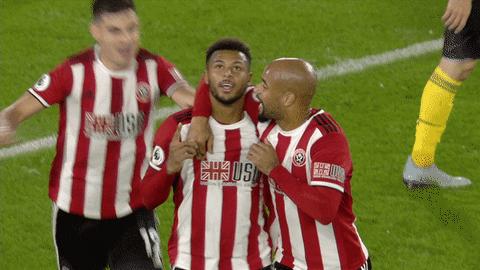 Sheffield United Celebration GIF by Sheffield United Football Club ...