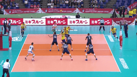 Celebration GIF by Volleyball World - Find & Share on GIPHY