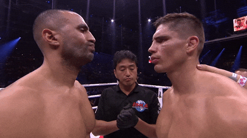 Respect Rico GIF by GLORY Kickboxing - Find & Share on GIPHY