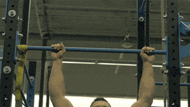 Musculation by Decathlon GIF - Find & Share on GIPHY