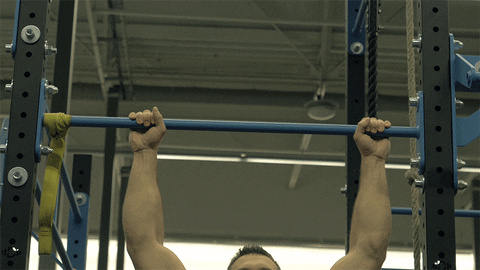 Musculation by Decathlon GIF - Find & Share on GIPHY