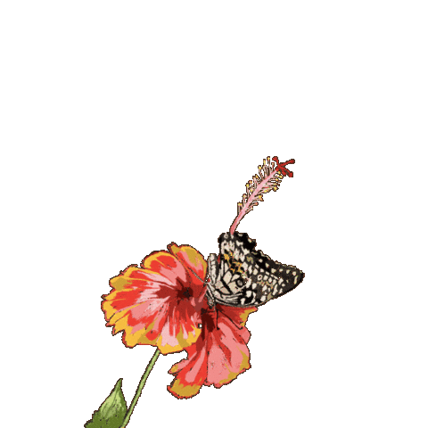 Greenteaeveryday Hibiscus Sticker by Elitsour for iOS & Android | GIPHY
