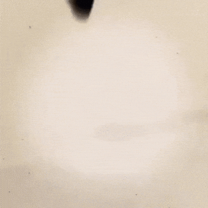 Diffusion GIFs - Find & Share on GIPHY