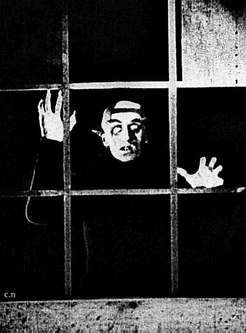 Black And White Horror Find And Share On Giphy
