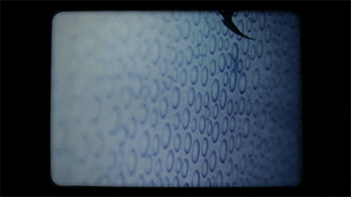 Contemporary Art Animation GIF by Art21 - Find & Share on GIPHY