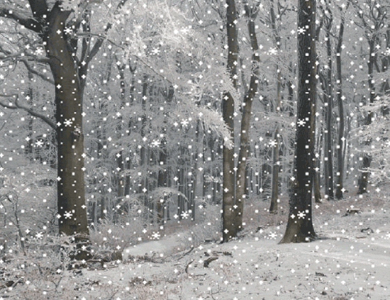 Snow GIF - Find & Share on GIPHY