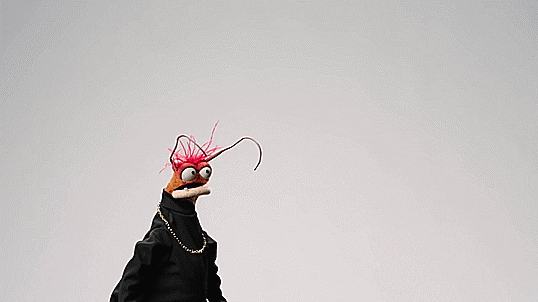 Pepe The Prawn GIFs - Find & Share on GIPHY