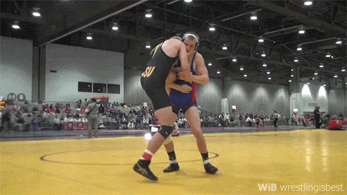 Wrestling GIF - Find & Share on GIPHY