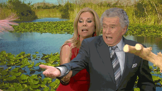 Kathie Lee Ford Find And Share On Giphy