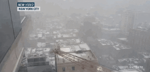 Nyc GIF - Find & Share on GIPHY