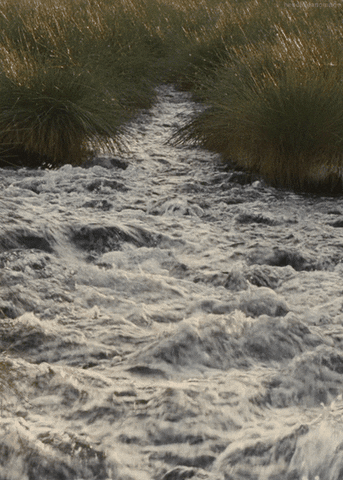 Landscape River GIF by Head Like an Orange - Find & Share on GIPHY