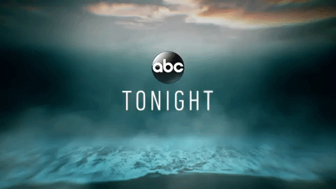 GIF by ABC Network - Find & Share on GIPHY