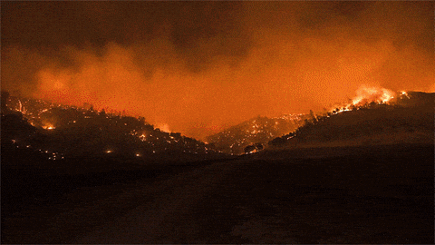 Wildfires GIFs - Find & Share on GIPHY